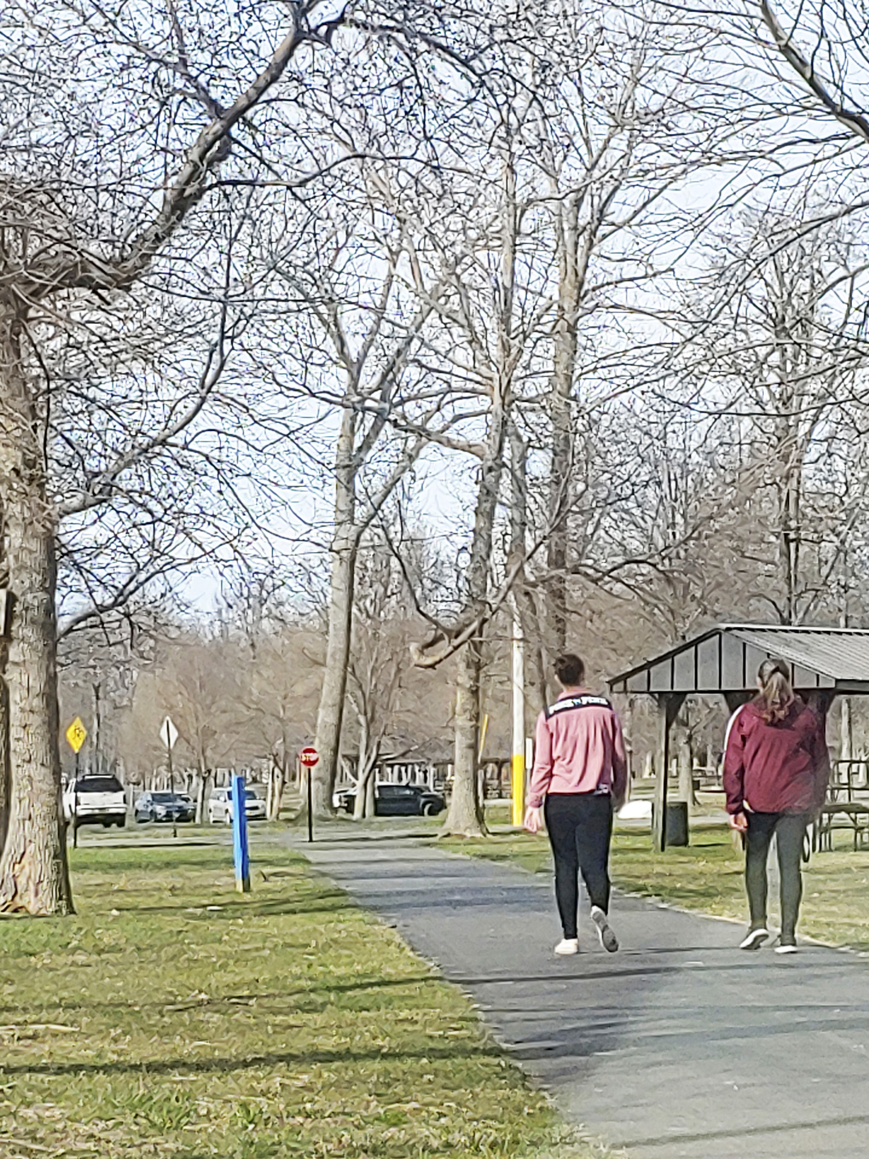 Spring, more than ever, in our steps | News, Sports, Jobs - Observer Today